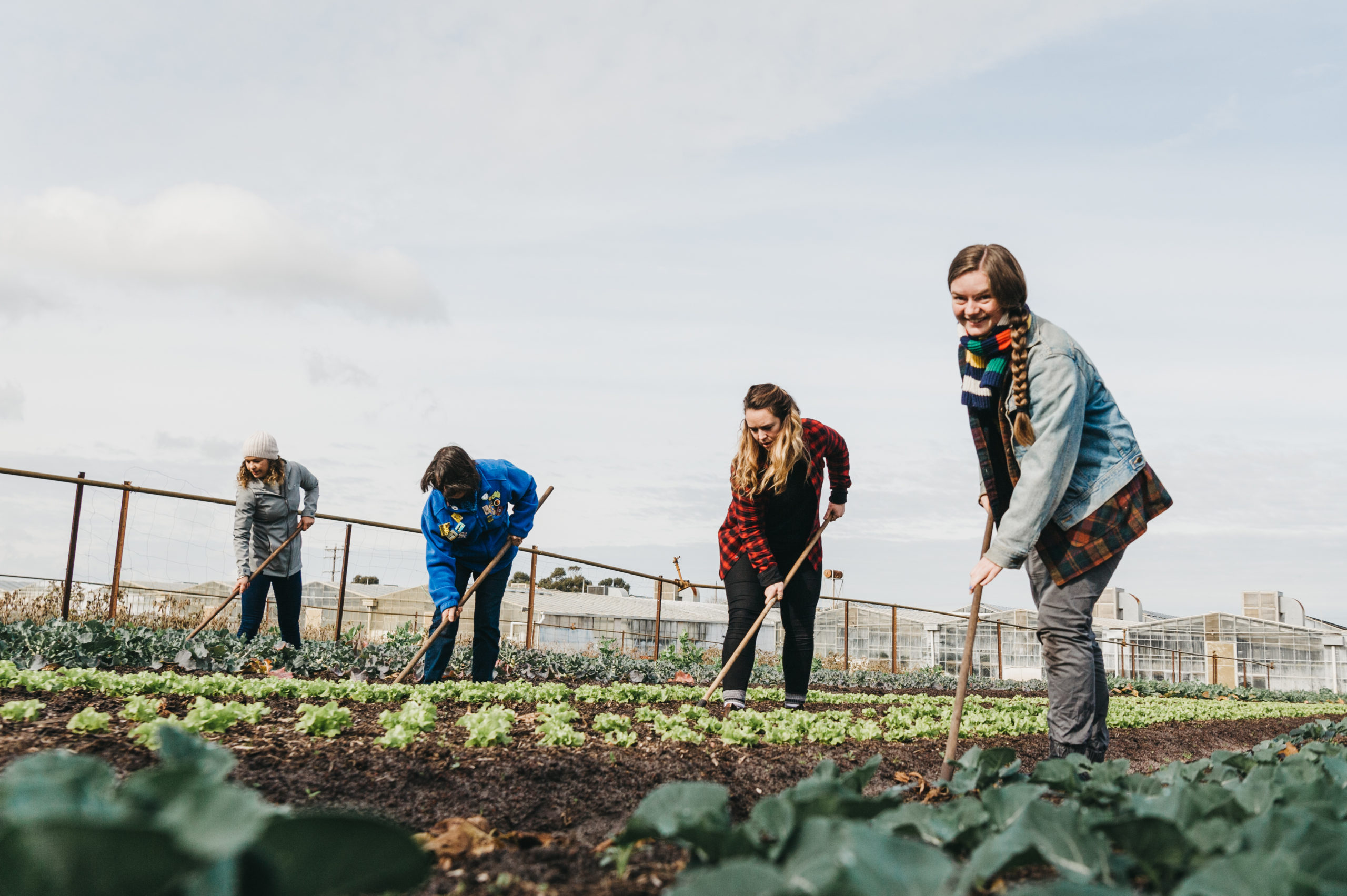 Why you should volunteer this Spring | Food For Change | Helping ...