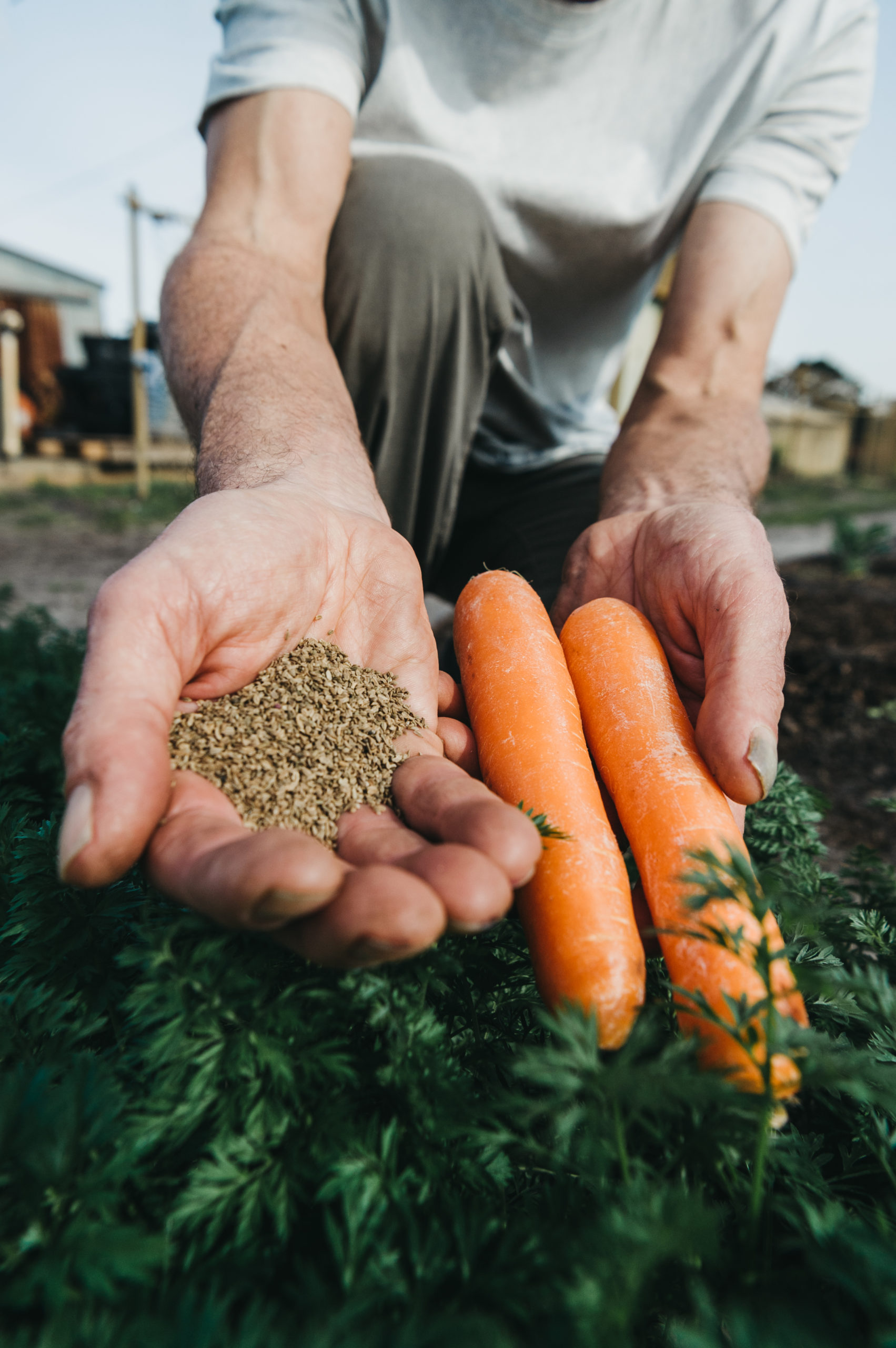 New Seed Grows Food For Change's Hunger Relief Efforts | Food For ...