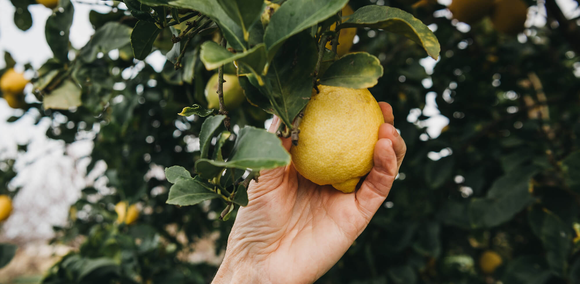 Weekend activities to fill your soul | Food For Change | Helping ...
